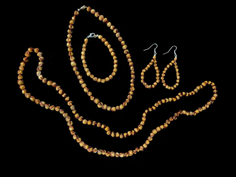 Shop All – Navajo Traditional Teachings
