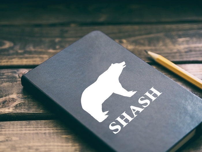 Bear (Shash) – Navajo Traditional Teachings